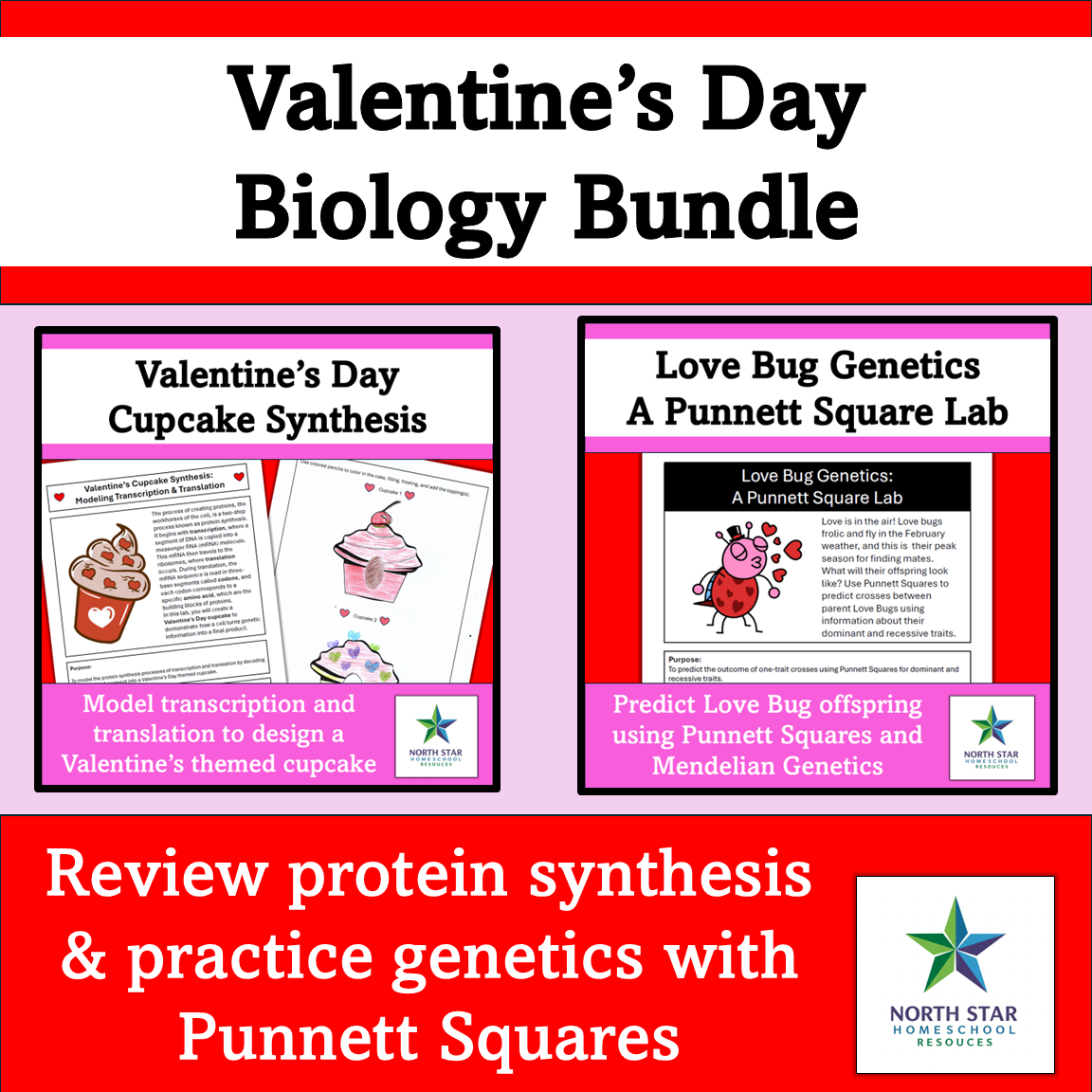 Biology activities for Valentine’s Day – North Star Homeschool Resources