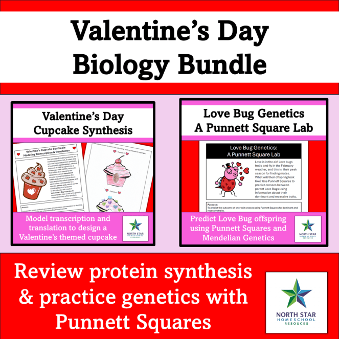 Biology activities for Valentine’s Day – North Star Homeschool Resources